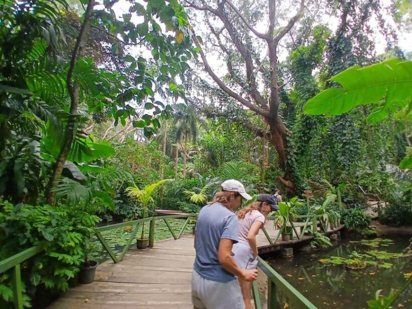 FIJI: Garden of the Sleeping Giant - Final Thoughts: Who Will Love This Tour?