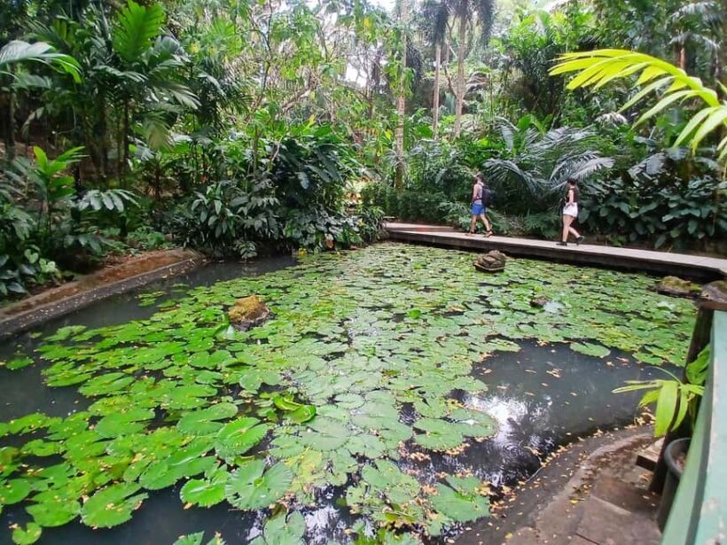 FIJI: Garden of the Sleeping Giant - Frequently Asked Questions