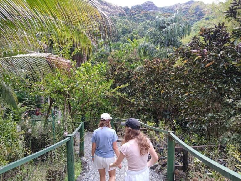 FIJI: Garden of the Sleeping Giant - In The Sum Up