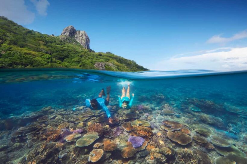 Fiji Island Cultural Experience with Lunch - Culinary Delights and Food Preparation