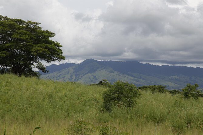 Fiji Local Village, Market, Temple & Garden of Sleeping Giant with Mud Pool Tour - Key Points