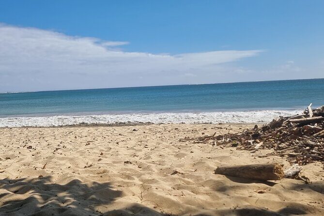 Fiji Local Village, Market, Temple & Garden of Sleeping Giant with Mud Pool Tour - Final Thoughts