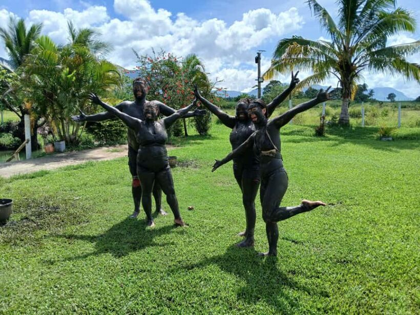 Fiji: Tifajek Mud Pool & Hotspring Tours & Tickets - The Value of This Experience