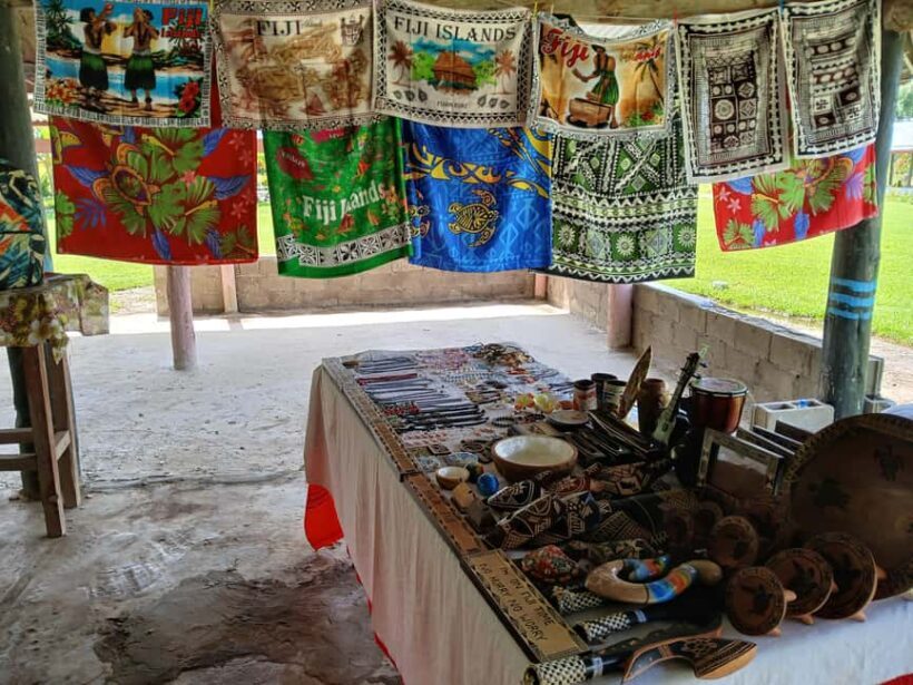 Fiji: Tifajek Mud Pool & Hotspring Tours & Tickets - Who Will Love This Tour?