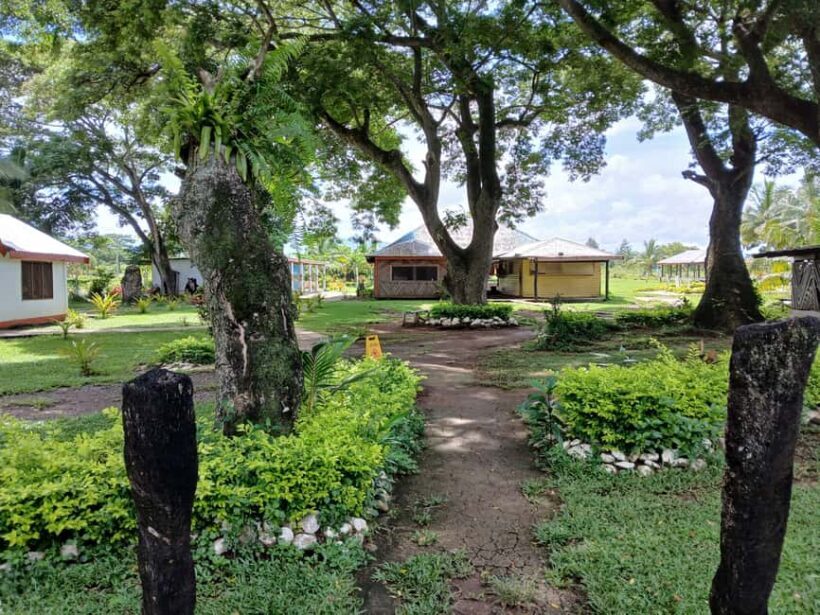 Fiji: Tifajek Mud Pool & Hotspring Tours & Tickets - Practical Tips for Visiting