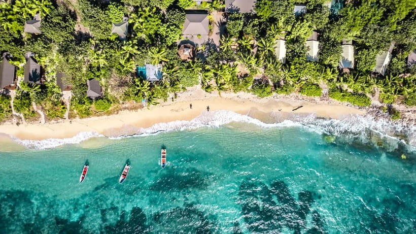 Fiji: Ultimate Encounters Snorkel with Sharks and Lunch - How the Tour Unfolds — A Step-by-Step Breakdown