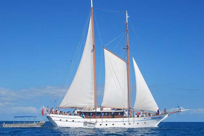 Fijian Islands and Snorkel Full-Day Whales Tale Cruise including Beach BBQ Lunch - Who’s this tour best for?