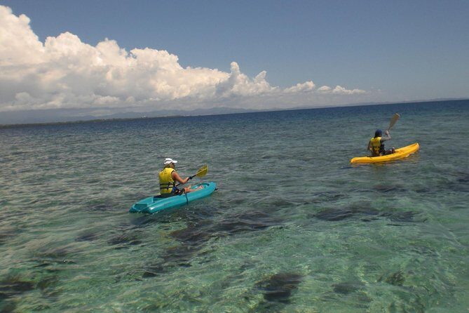 Fijian Islands and Snorkel Full-Day Whales Tale Cruise including Beach BBQ Lunch - Key Points