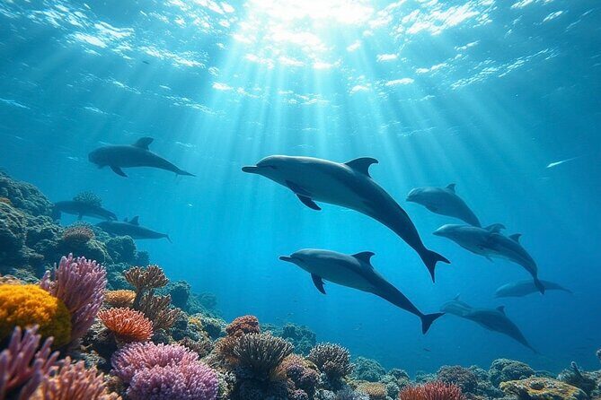 Fijis Best Dolphins tour and Snorkeling Adventure - Introduction: What’s the Tour About and Who Should Consider It?