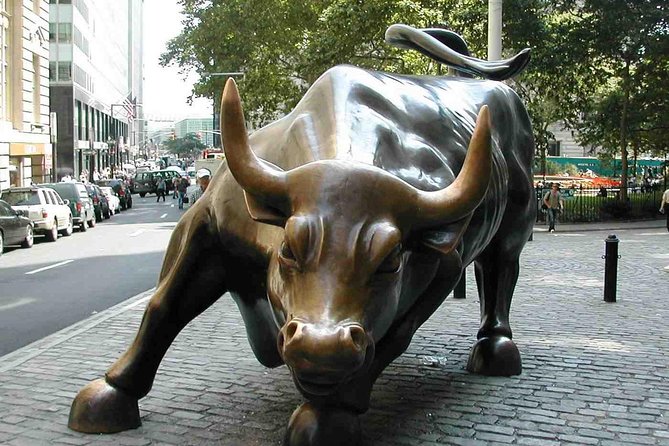 Financial Crisis Tour With a Finance Professional - Tour Experience and Guide