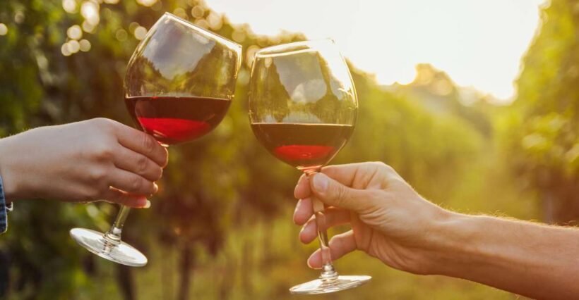 Fine Wining, Saturday - Key Points