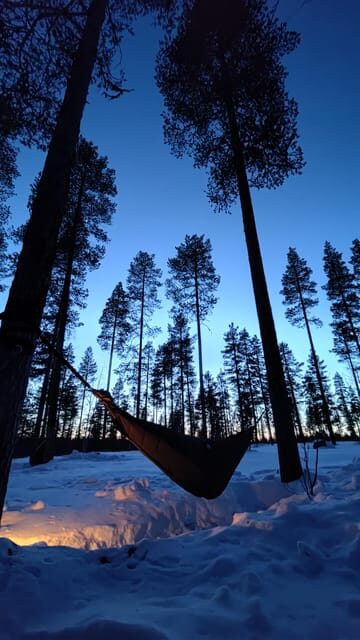 Finland Levi: Arctic Cocooning Experience in HaliPuu Forest - Practical Details for Travelers