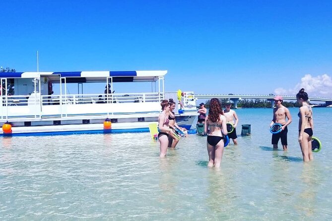 Fins Up - Dolphin & Island Sandbar Adventure in Clearwater Beach - Key Points