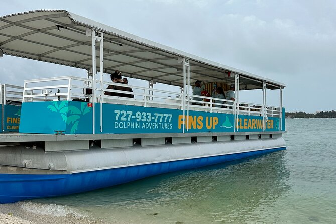 Fins Up - Dolphin & Island Sandbar Adventure in Clearwater Beach - Final Thoughts