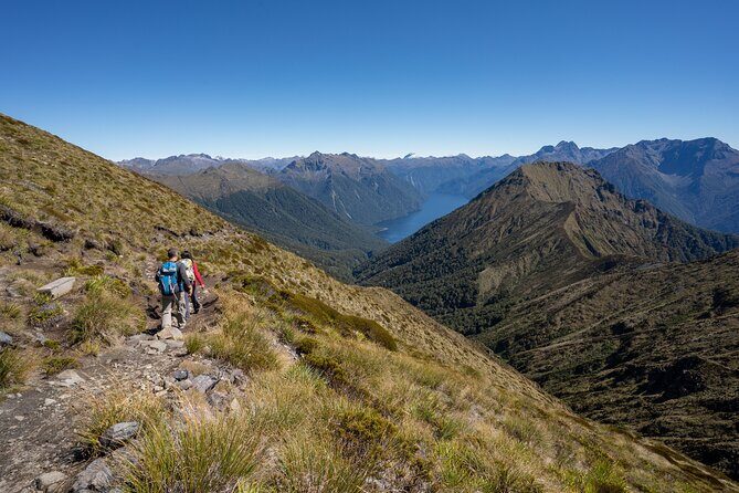 Fiordland Heli-hike from Te Anau - What to Expect from the Fiordland Heli-hike
