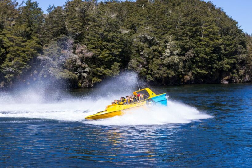 Fiordland: Jet Boat & Nature Walk Experience from Te Anau - The Experience Itself: A Deep Dive