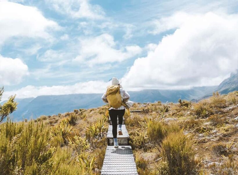 Fiordland: Routeburn Track and Key Summit Guided Day Walk - Introduction: A Guided Day in Fiordland’s Wilderness