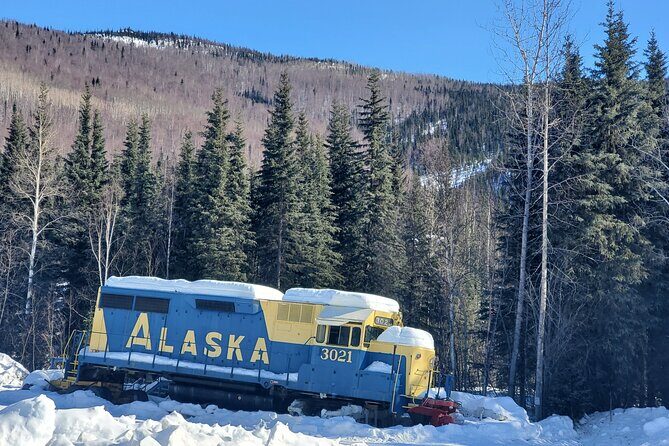 Fire & Ice: Chena Hot Springs, Ice Museum + Aurora Adventure - Why This Tour Excels