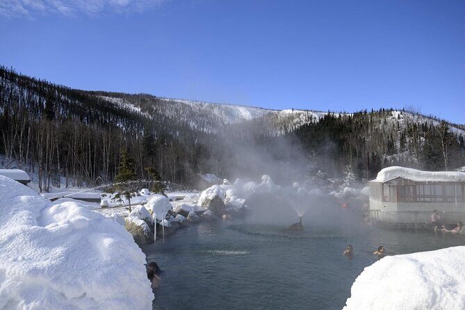 Fire & Ice: Chena Hot Springs, Ice Museum + Aurora Adventure - Practical Details
