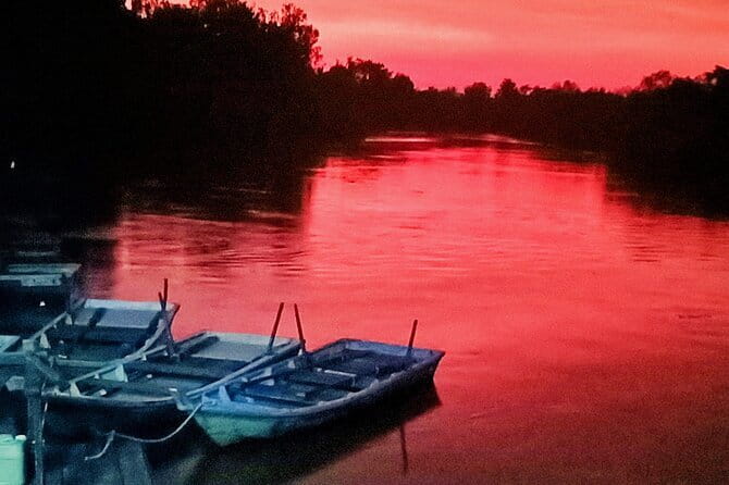 Fireflies Kuala Selangor & Batu Caves (With Fireflies Tickets) - Who Will Enjoy This Tour?