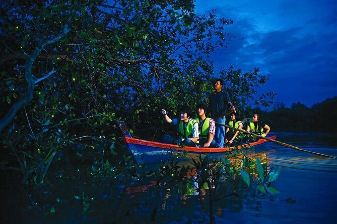 Fireflies Tour Include Seafood Dinner - Evaluating the Experience: Value, Comfort, and Authenticity