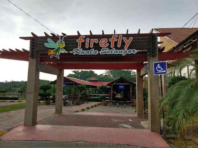 Firefly, Eagle Feeding, and Blue Tears Kuala Selangor Tour - Key Points