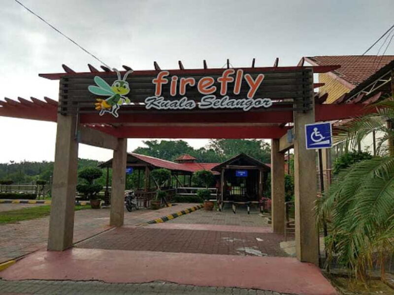 Firefly, Eagle Feeding, and Blue Tears Kuala Selangor Tour - The Value of the Experience