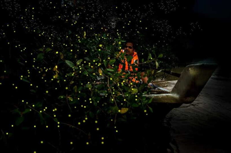 Firefly, Eagle Feeding, and Blue Tears Kuala Selangor Tour - Practical Tips for Travelers