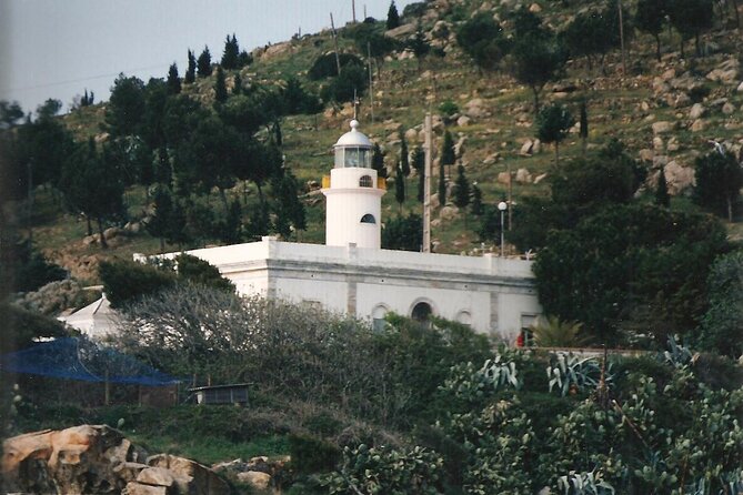 Fireworks from the boat in Roses Bay - Who Will Love This Experience?
