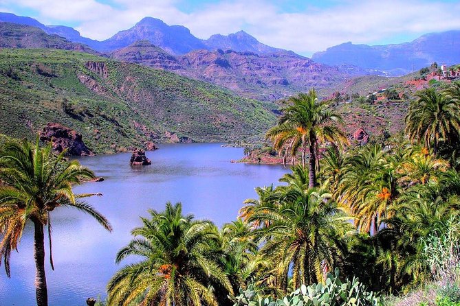 Firgas, Tejeda, Guayadeque - VIP Tour Gran Canaria - Pricing and Booking