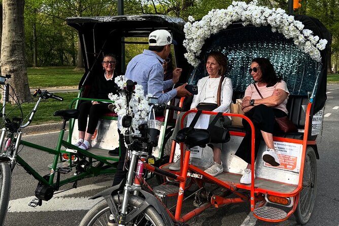First Class Central Park Tour  Iconic Views & VIP Photo Moments - An Introduction to the Tour Experience