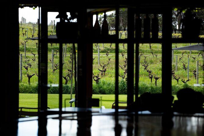First Class Lunch and Margaret River Wine Tour - Fourth Stop: Cherubino Margaret River Cellar Door
