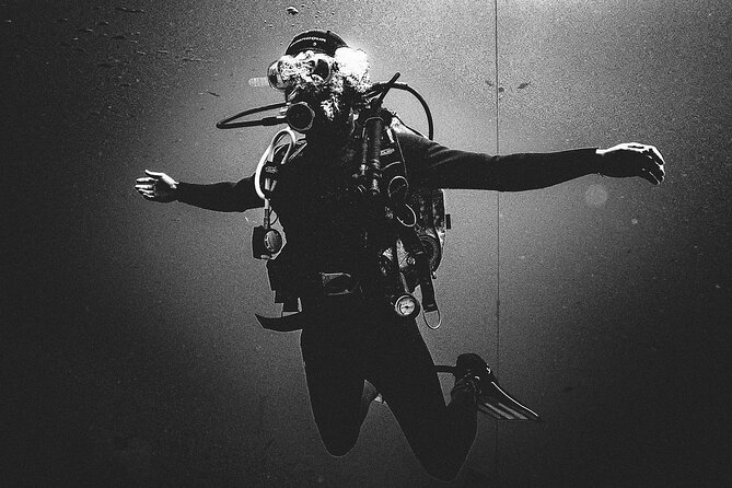 First Dive Experience in Tenerife - Discovering the Marine Life