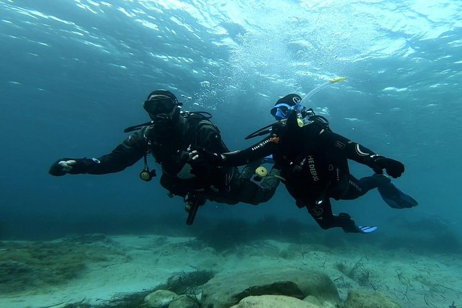 First scuba diving experience with instructor - Malta - The Value of This Experience