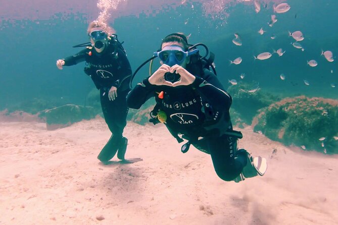 First scuba diving experience with instructor - Malta - The Experience in Action: Real Perspectives