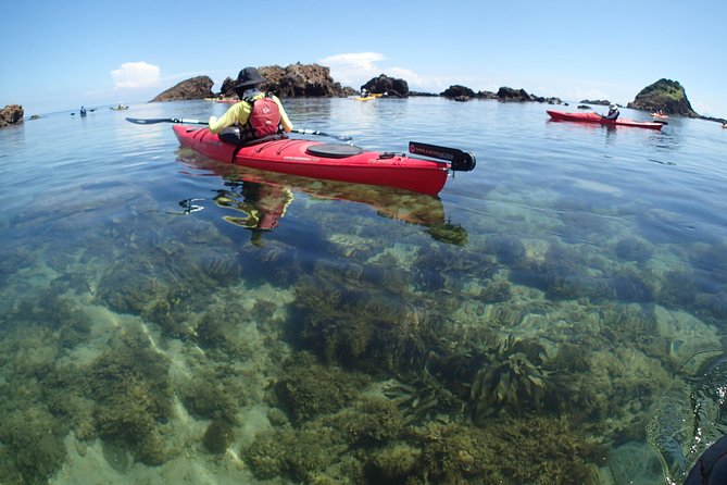 First Seakayak Tour - What to Expect on the Tour