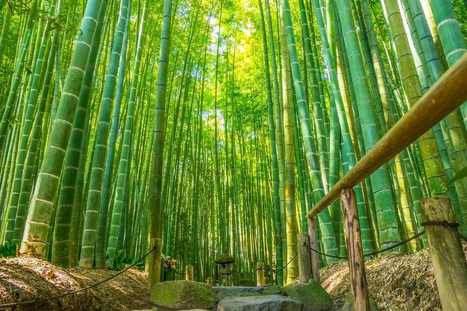 First Time in Kamakura? Enjoy a Tour of All Must-Sees! - Important Information