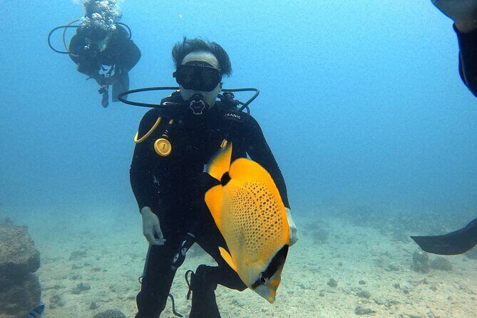 First Time Introductory Scuba Dive - Who Will Love This Tour?
