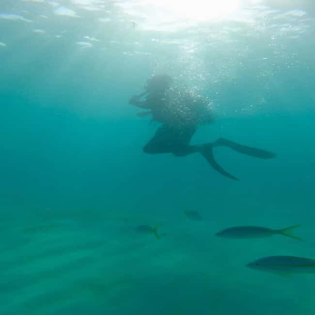 First Time Scuba Diving Experience in Punta Cana - Who Should Consider This Tour?