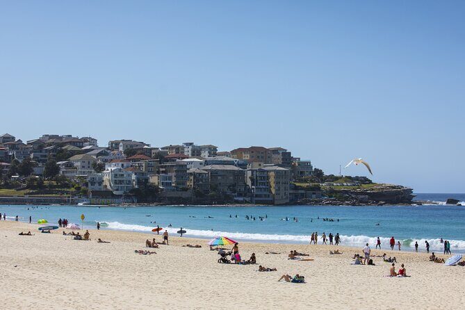 First Timer Sydney Sightseeing & Bondi Beach 1/2 Day Tour - Who Will Appreciate This Tour Most?