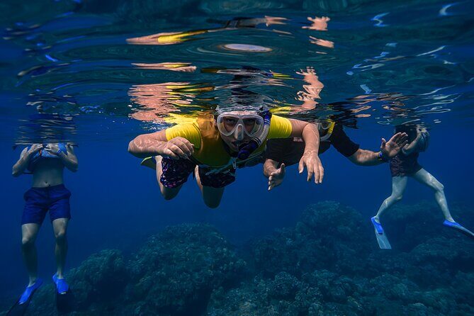 First Timers and Non-Swimmers Snorkeling Experience in Wailea - Authentic Experiences and Real Reviews