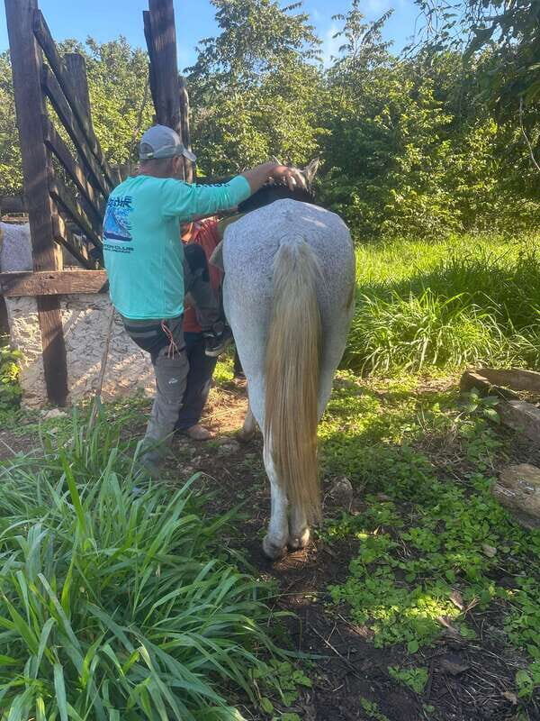 First tour schedule at San Rancho San Manuel - The Itinerary: From Riding Trails to Cenote Bliss