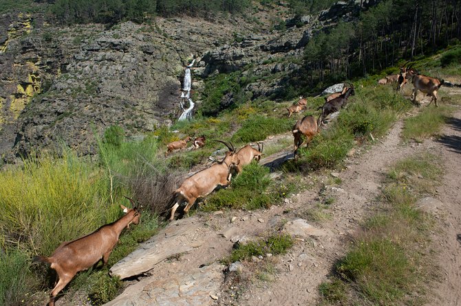 Fisgas de Ermelo Trail - Discovering the Fisgas de Ermelo Trail