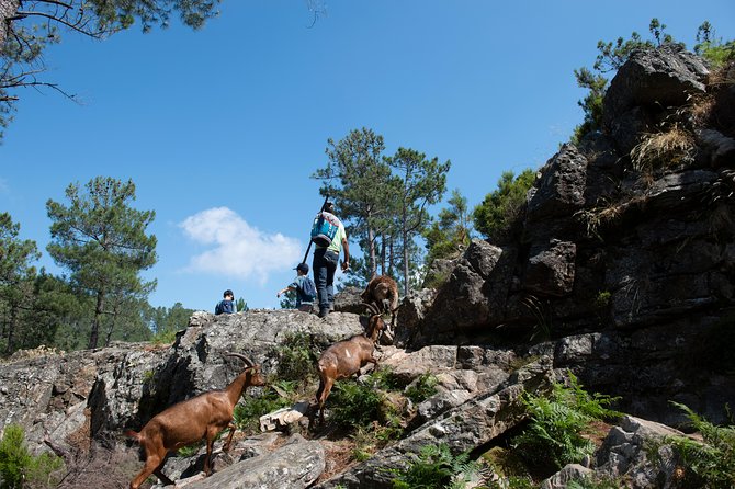 Fisgas de Ermelo Trail - FAQ