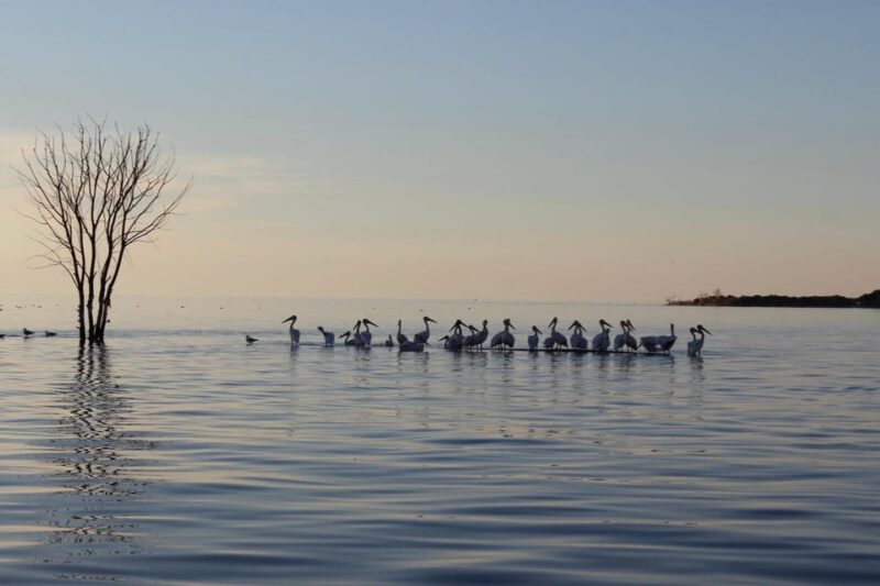 Fish Creek, WI: Sunset Live Music Cruise - Final Thoughts