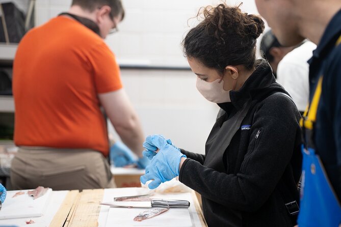 Fish Cutting Workshop in Kyoto Japan - Health and Safety Considerations