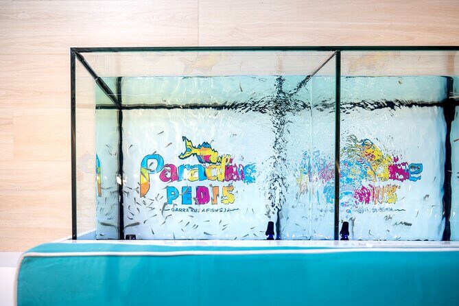 Fish, Fun & Feet  Caribbeans Largest Fish Spa Experience! - What Do Travelers Say?