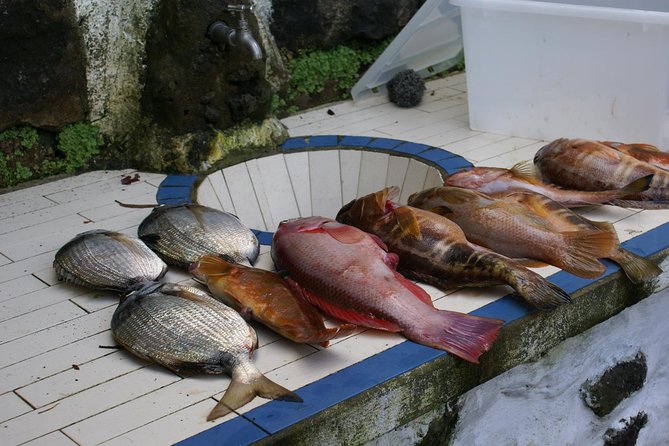 Fish In the Azores - Frequently Asked Questions