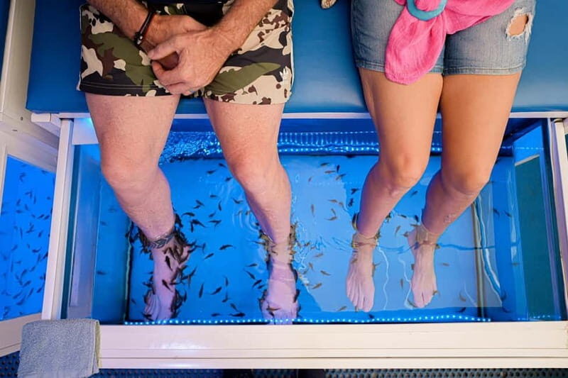 Fish Spa Experience - Key Points
