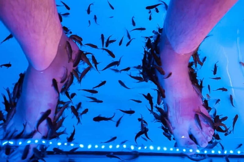 Fish Spa Experience - What Travelers Say